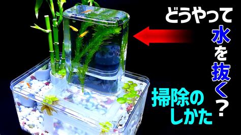 メダカの空中水槽掃除のしかた メンテナンス方法 Amazing Idea Aquarium Maintenance YouTube