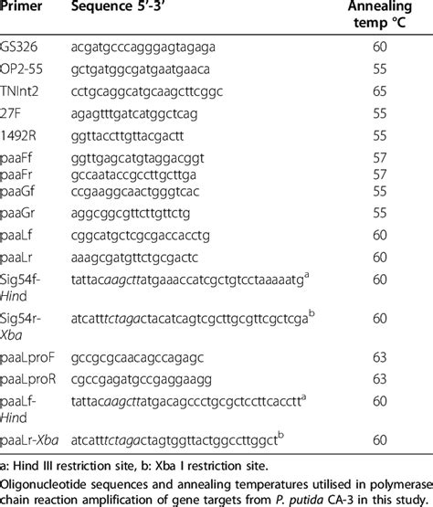 Primers For Pcr Amplifications Download Table