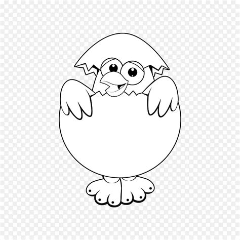 蛋壳里的鸡简笔画PNG图片素材下载 图片编号yrjadavy 免抠素材网
