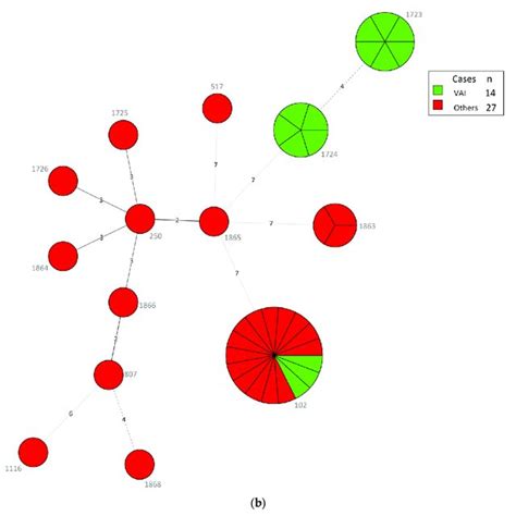 A Minimum Spanning Tree Mst Constructed With Multilocus Sequence Download Scientific