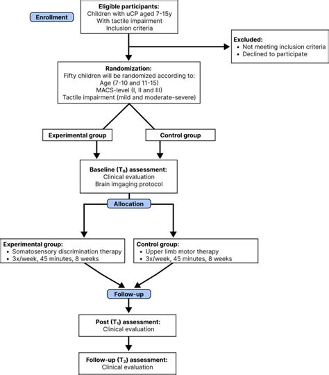 Does Somatosensory Discrimination Therapy Alter Sensorimotor Upper Limb