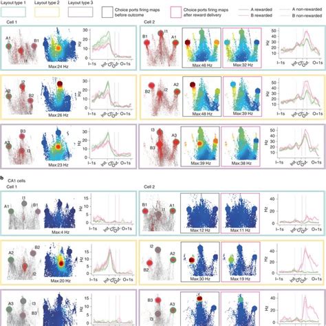 example neurons in physical space and behavioral task a example pfc