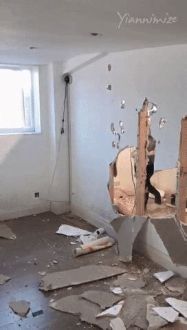 Bang Head Against Wall S