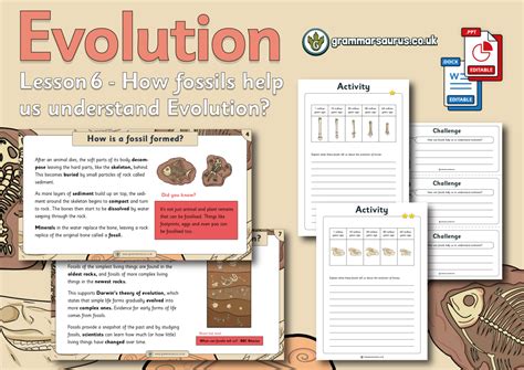 Year 6 Science Evolution How Fossils Help Us Understand Evolution Lesson 6 Grammarsaurus