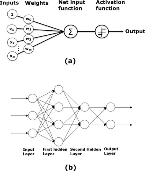 a schematic representation of a single layer single output ann model download scientific