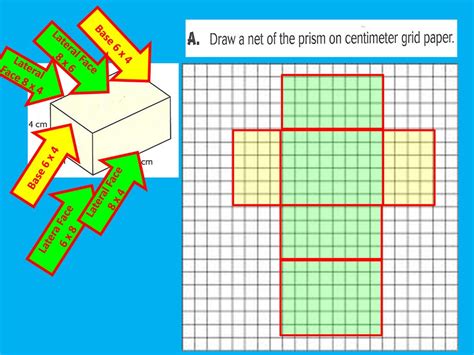 rectangular prism net on graph paper