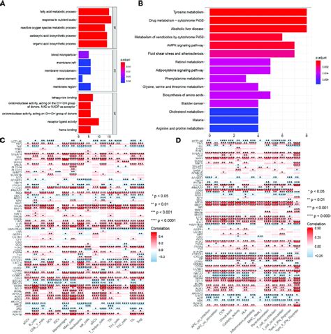 Gene Function And Correlation With Immunity A Go Analysis Of 68 Download Scientific Diagram