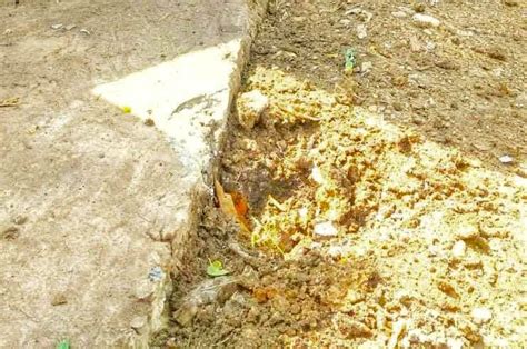 Dvb ပုသိမ်ကြီးမြို့နယ် မြေစာရင်းရုံးနှင့် လဝကရုံး အနီး ဗုံးပေါက်ကွဲ