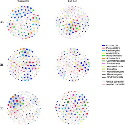 Correlation Base Network Analysis Showing Potential Interactions