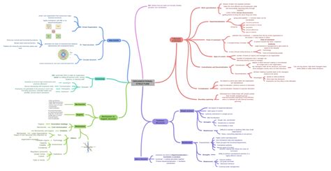 Organizational Structure Coggle Diagram Organizational Structure Coggle Diagram