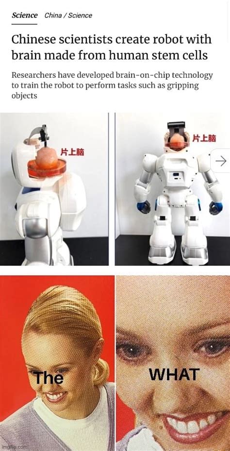 Science China Science Chinese Scientists Create Robot With Brain Made From Human Stem Cells