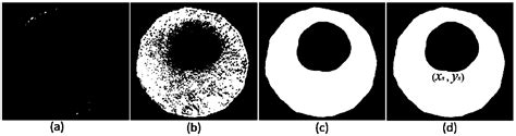 System And Method For Accurately Calibrating Optical Path Of Point Diffraction Interferometer