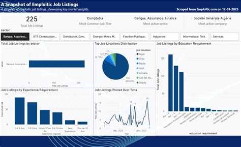 Data Analytics Cleaning And Visualization Excel Sql Power Bi Pythonpandas Mysql Freework Dz