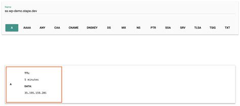 How To Set Up DNS Configuration For Shopify Stape