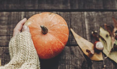 스웨터와 호박을 들고 손 고 소박한 나무 배경 평면도에 딸기 텍스트를 위한 공간입니다 추수 감사절 이나 할로윈 개념 인사말 카드입니다 아늑한가 분위기 10월에 대한 스톡