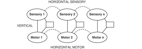 2 A Schematic Representation Of The Associative Sequence Learning Asl