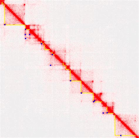 Homer Software And Data Download