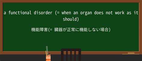 【英単語】functionalを徹底解説！意味、使い方、例文、読み方 おもしろい英文法