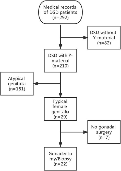 Flow Diagram Of Section Of Patients With DSD According To The Inclusion Download Scientific