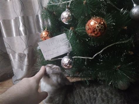 С Новым Годом Аниму Реахтур Новый Год на Anime НГ на Anime