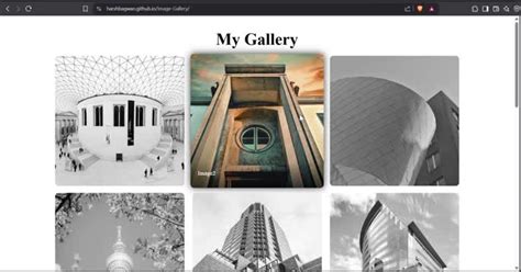 Webdevelopment Html Css Frontend Flexbox Beginnerproject Harsh Bagwan