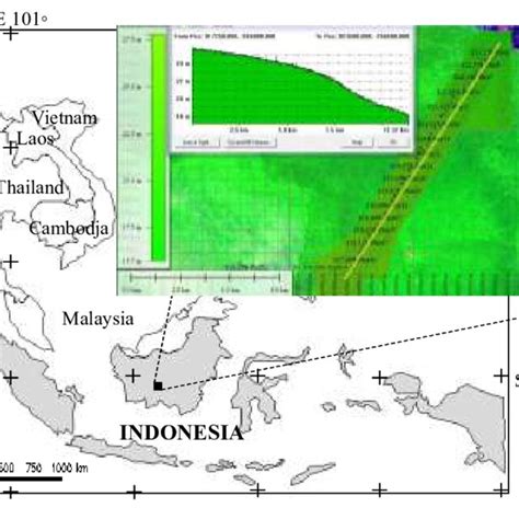 Relationships Between The In Situ Measured Tree Height And Dbh For Download Scientific Diagram