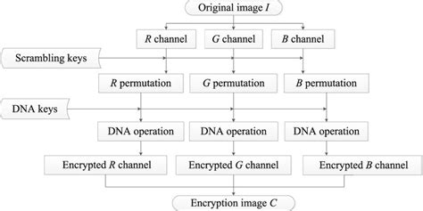 Improved Image Encryption Algorithms Flowchart Download Scientific