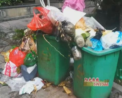灵溪：街头垃圾桶垃圾满溢，为哪般？