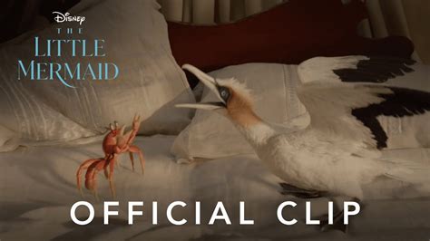 The Babe Mermaid The Scuttlebutt YouTube