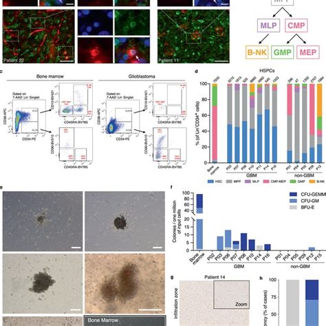 Cell Type Estimation Using Transcriptomes A Simplified Workflow Of Download Scientific Diagram