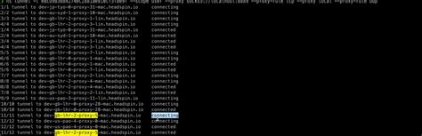 A Complete Guide On How To Use Hs Tunnel