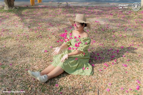 ดอกเฟื่องฟ้า ดอกไม้ประจำ จ ภูเก็ต …บานสะพรั่ง หลากสี รับหน้าร้อน Phuket Ok