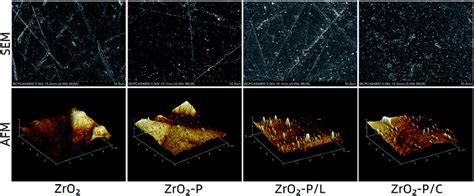 Biofunctionalization Of Zirconia With Cell Adhesion Peptides Via