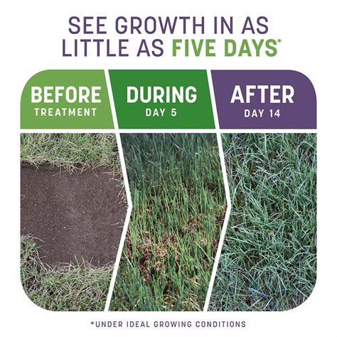 Pennington Smart Patch Dense Shade Mix