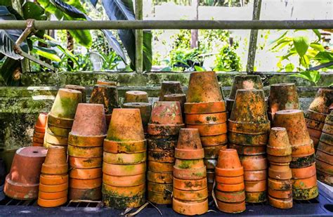 Is Escaping The Rat Race The Right Path For You The Sunday Dreamers