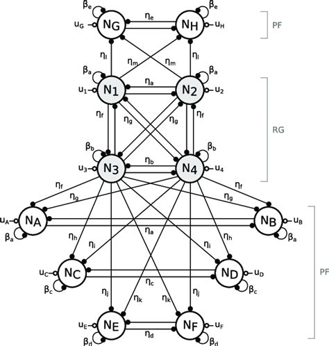 Central Pattern Generator Diagram Control Strategies For Act