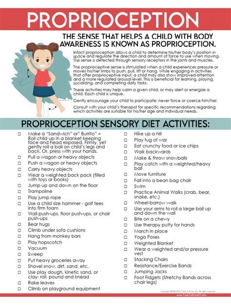 Pbk Proprioceptive Activities And Strategies Pdf Senses