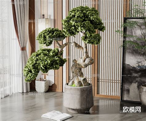 新中式绿植盆栽 盆景3d模型下载id121490763dmax免费模型 欧模网