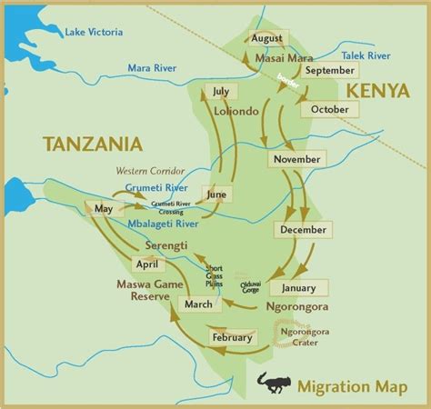 Wildebeest Migration Map