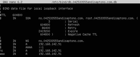 Dns Server Bind9 Ubuntu 22 04 Lts Andi Saptonos Blog