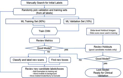 Flow Chart Summary Of Training Iterations For Cnn Ml Machine Download Scientific Diagram