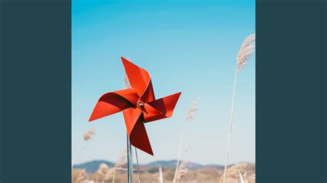 네가 보고 싶어 Youtube