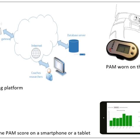 The Sensor Monitoring Platform Pam Physical Activity Monitor Download Scientific Diagram