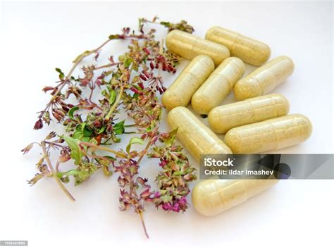 흰색 바탕에 건조 한 천연 허브와 약초 약 약초 및 건강 보조 식품의 개념 생물학적 활성 첨가제 및 비타민 0명에 대한 스톡 사진 및 기타 이미지 Istock