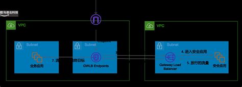 基于 Gateway Load Balancer 的一种 Vpc 边界流量镜像方案与实现 亚马逊aws官方博客