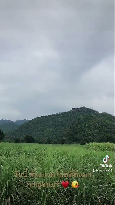 หมดลาน ♥️ คุณ อริสมันต์ พงษ์เรืองรอง Youtube