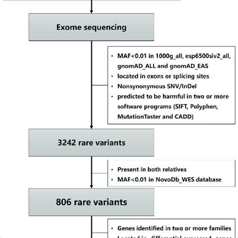 Candidate Rare Variants Identified By Exome Sequencing In The Five Download Scientific Diagram