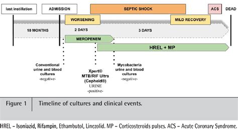 Figure 1 From Fatal Sepsis Months After Bladder Instillations With Mycobacterium Bovis In