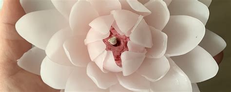 Сообщество «Мир свечей и гипса ВКонтакте — публичная страница Россия