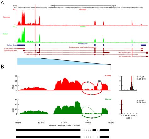 RNA Seq Read Mapping To The Reference Gene PDGFA A RNA Seq Read Download Scientific Diagram